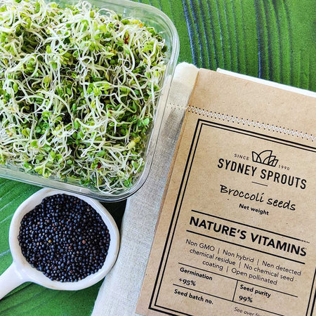 Yummy Broccoli Sprouts Inspired Pesto Recipe – Sydney Sprouts